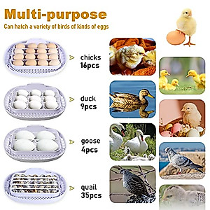 16 Eggs Incubators for Hatching Eggs with Temperature Control, Egg Candle Automatic Egg Turner Poultry Incubators for Hatching Chickens, Ducks, Quails