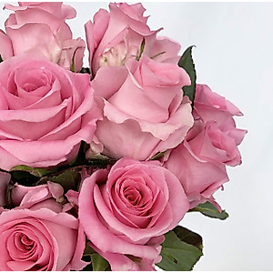 Farm Direct Fresh Pink Roses for Mother's Day | Pink Rose Flower Bouquet of 12 Fresh Roses (Dozen) + Vase Included - Roses for Delivery