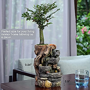 GOSSI Indoor Fountain Decorative 5-Tier Rockery Tabletop Fountains with a Small Plastic Pot to Grow The Plant by Yourself(Auto Watering)(22021)