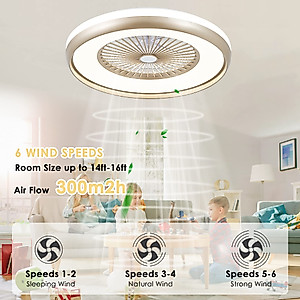 HUMHOLD 24" Low Profile Ceiling Fan with 3-Dimmable Light, Flush Mount Ceiling Fan Lighting Remote & APP Control, 6 Speeds Timing Reversible Blades, Smart Enclosed Ceiling Fan for Bedroom Gold