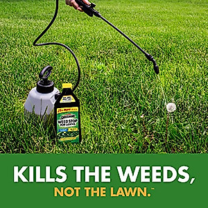 Spectracide Weed Stop For Lawns Concentrate, Kills Weed Roots, Not The Lawn, 40 fl Ounce
