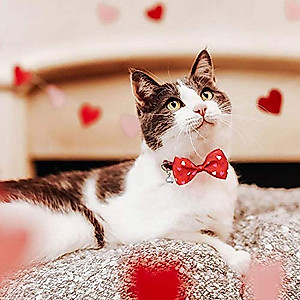 Pohshido Valentine's Cat Collar with Bow Tie and Bell, Holiday Breakaway Loving Heart Kitty Kitten Collar for Girls and Boys Male Female Cats (Love Song)
