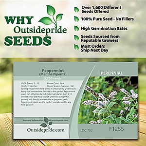 Outsidepride Mentha Piperita Peppermint Culinary Herb Garden Plant for Flavoring - 10000 Seeds