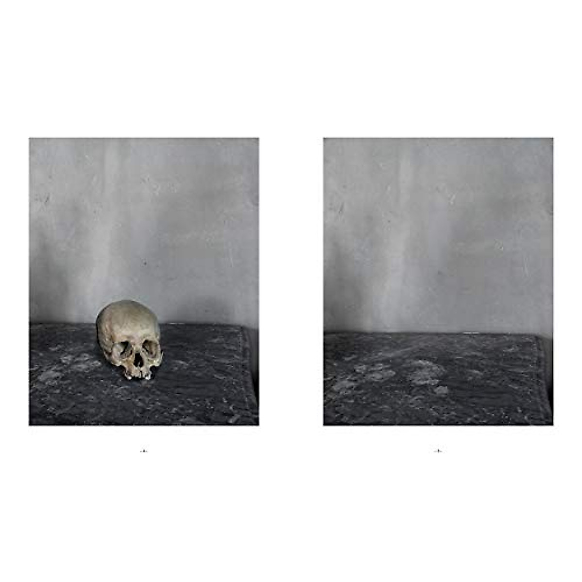 Joel Meyerowitz: Cézanne's Objects