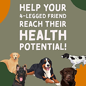 DogBone Krillagen Super Chews Dog Health Supplement | Dog Joint Supplement | Dog Health Supplies | Omega 3 for Dogs | Dog Supplements and Vitamins | Collagen Chews for Dogs| Krill for Dogs