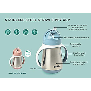 Beaba Stainless Steel Straw Sippy Cup, Sippy Cup with Removable Handles, Sippy Cup with Straw, 8+ months, 8.5 oz (Rain)