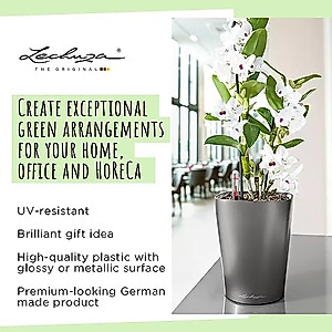 Lechuza 14900 Deltini Self-Watering Planter for Indoor and Outdoor Use, 6" x 6" x 7", White