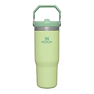 Stanley IceFlow Stainless Steel Tumbler - Vacuum Insulated Water Bottle for Home, Office or Car Reusable Cup with Straw Leak Resistant Flip Cold for 12 Hours or Iced for 2 Days, Citron, 30oz