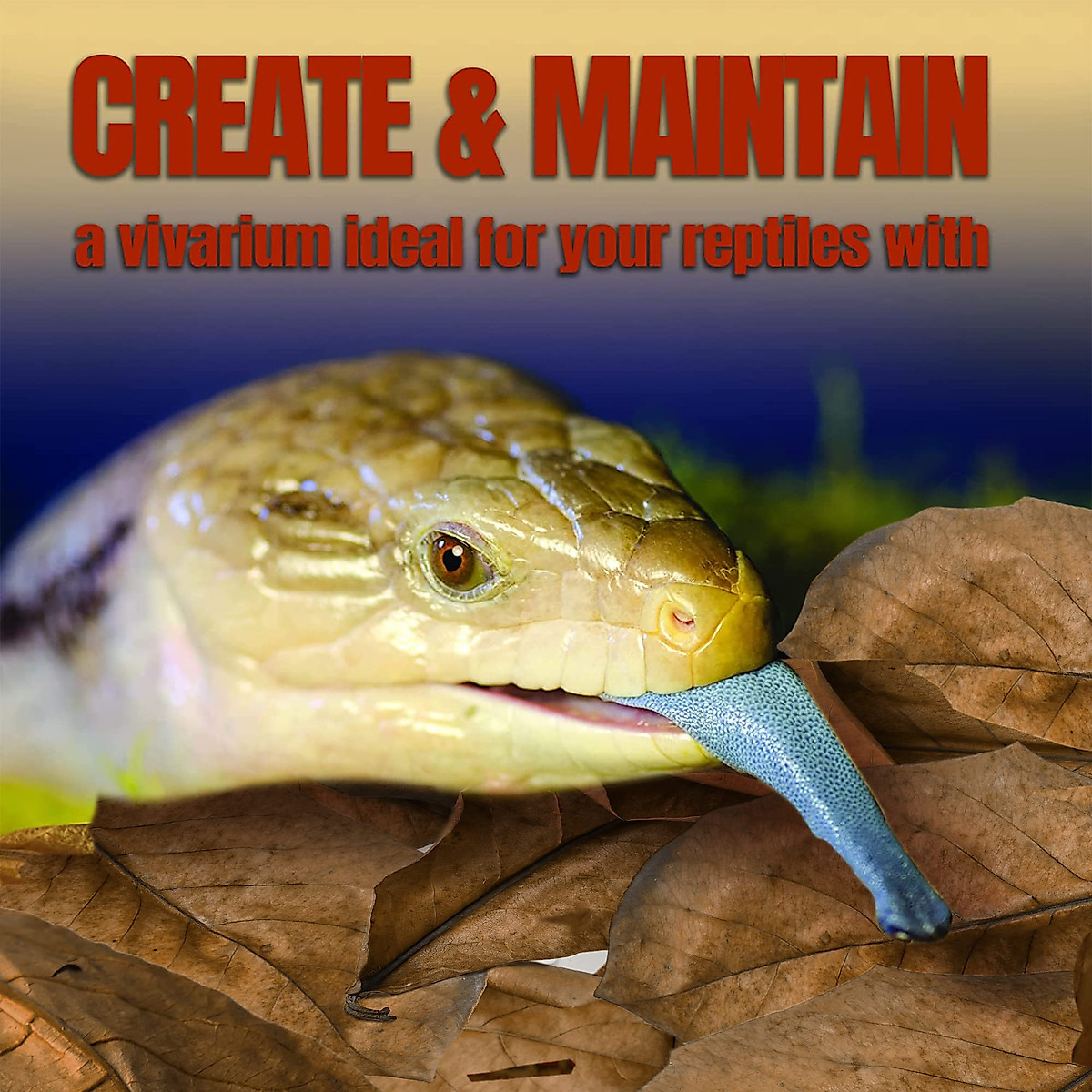 SunGrow Leaf Litter for Snakes, 10 Pcs Medium Indian Almond Catappa Leaves Substrate Maintain Humidity in Corn Snake and Ball Python Terrarium, 7-8 Inches, Reptile Tank Decor Accessories