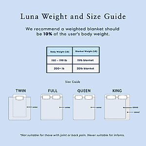 Luna Luxe Cotton Weighted Blanket Kids - Premium Soft Weighted Blanket for Kids - Travel Blanket [10lbs - Twin - 41" x 60"] [Dark Grey]