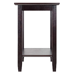 Winsome Genoa 25.04 x 23.94 x 16.3-Inch Composite Wood End Table With Glass Top, Dark Brown (92419)