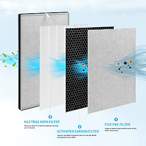 FCFMY 2 Pack Upgraded 3-in-1 Carbon HEPA HE601 Replacement Filter for Shark Air Cleaner Purifier 6 (HE601 & HE602) Part # HE6FKPET
