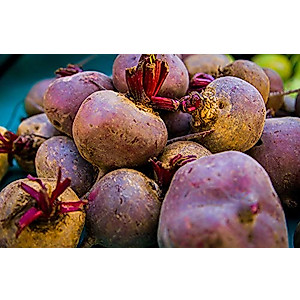 Red Ace Beet Seeds, 100 Seeds Per Packet, Non GMO Seeds Scientific Name: Beta vulgaris, Isla's Garden Seeds