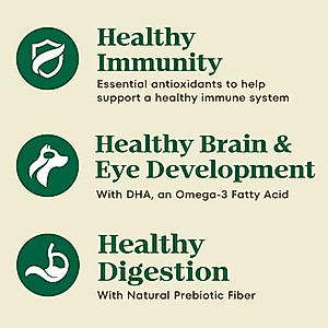 NUTRO MAX Puppy Recipe Dry Dog Food With Farm-Raised Chicken, 12 LB Bag