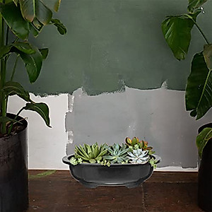 ERINGOGO Bonsai Planter Pot 18pcs Bonsai Training Pots, 15 Inches Oval with Drainage Hole, Plastic Large Deep Flower Pot Plants Growing Pots for Nursery, Garden, Balcony Oval Flower Pot