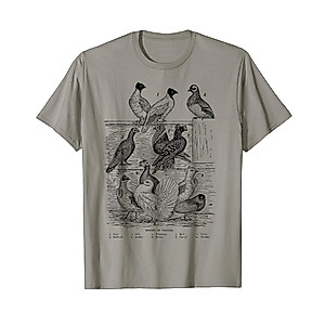 PIGEON Vintage Breeds of Pigeons gift for pigeon lover T-Shirt