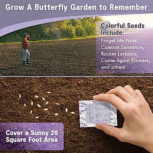 Unique Remembrance Gift for Loss of a Baby - Express Your Sympathy 4-Piece Gift Set with Memorial Jewelry, Flower Seeds, Aromatherapy Blend, Card & Gift Box - Uplifting Loss of a Child Memorial Gift