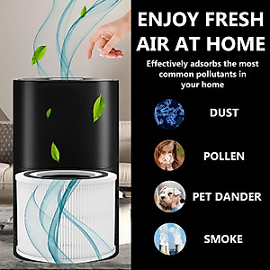 RGBflt 2 Pack 14 True HEPA Filter Replacement Compatible with Puro 240 Air Purifier, 3-in-1 True HP-14 and Activated Carbon Filter