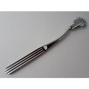 WARTENBERG PIN WHEEL/PINWHEEL SINGLE (1) HEAD 7" DIAGNOSTIC by G.S ONLINE STORE