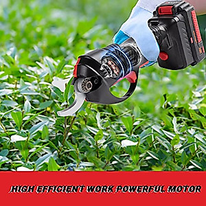 MZK Professional Cordless Electric Pruning Shears Battery Powered, Tree Pruner with Rechargeable Battery， 30mm [1.2inch] Cutting diammeter