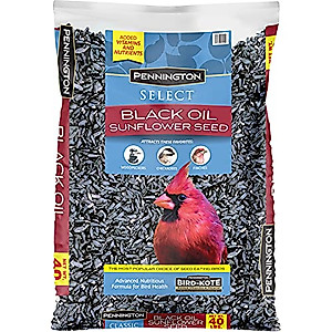 Pennington Select Black Oil Sunflower Seed Wild Bird Feed, 40 lbs