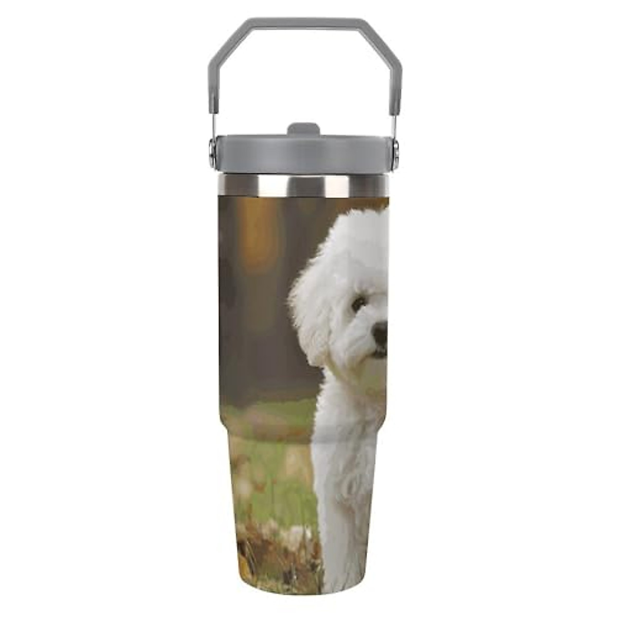 RTFGHJS Bichon Frise Dog 30 Oz Tumbler with Handle And Flip Straw, Stainless Steel Vacuum Insulated Travel Mug, Thermal Cup for Coffee, Water, Iced Drinks, Fits Car Cup Holders (Home, Sports)
