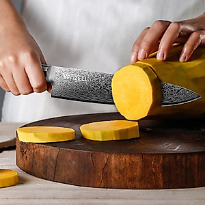 VENZELL Handmade 8 inch Chef Knife, 67-layer Damascus Stainless Steel Knife, HRC60±2 Professional Chopping Knife with Ergonomic PAKKA Wood Handle