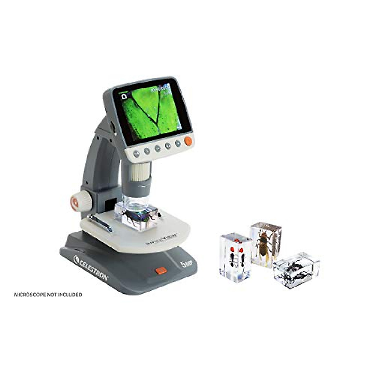 Celestron – Real 3D Bugs in Clear Resin – 4pc Set Includes Wasp, Ant, Chafer, and Beetle Specimens – Perfect for Science Eduction and Classroom – Use with Digital and Stereo Microscopes