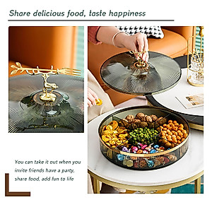 WMGoods Large Capacity Acrylic Serving Tray with 5 Compartments, Amber, 20"