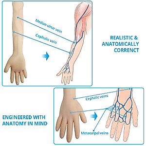 WELLiSH IV Practice Arm Infusion Model, Venipuncture Training Model Phlebotomy Practice Kit Injection Blood Drawing Model