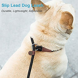 MayPaw Slip Lead Control Leash for Dogs No Pull, 13+ Colors Classic Dog Leash 7FT Pet Slip Leash, 1/4” Rope Leash for Small Medium Animals