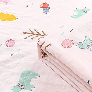 ARYIKUM Minky Baby Blanket Quilt,Lightweight Warm Baby Girls Blanket with Dotted Backing &Zipper,Baby Crib Comforter Toddler Quilt,Nursery, Stroller Blanket.(43x60 Inch,Zipper)