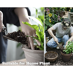 Doter Houseplant Potting Mix, Fertilized, Perlite Soil for All Types of Indoor House Plants and Tropical Plant 1 qt