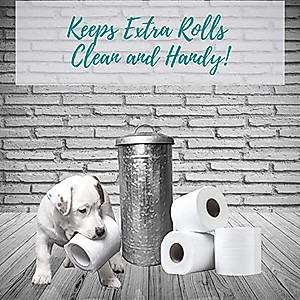 Autumn Alley Farmhouse Galvanized Metal Free Standing Toilet Paper Holder Organizer Stand Canister with Lid – Fits 3 Mega Rolls, Rustic Behind/Beside Toilet Storage Stand