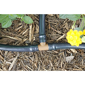 Habitech 1/2" Tee Drip Irrigation Fittings (12 Pack) - Barbed Drip Line Connector Tees compatible with Rain Bird and Most 1/2" Irrigation Tubing or Sprinkler Systems