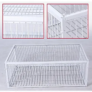 Big Foldable Galvanised Pigeon Dove Bird Trap Cage Feral Pigeon Humane Way with The one-Way Entrance Trapping Pigeons Doves in Cages (40x40x26 4Entrance)
