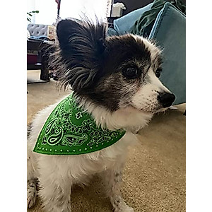 Maiwa 10 Pack Baby Triangle Bandana Bibs for Boys Girls for Drool Teething Eating with Snaps