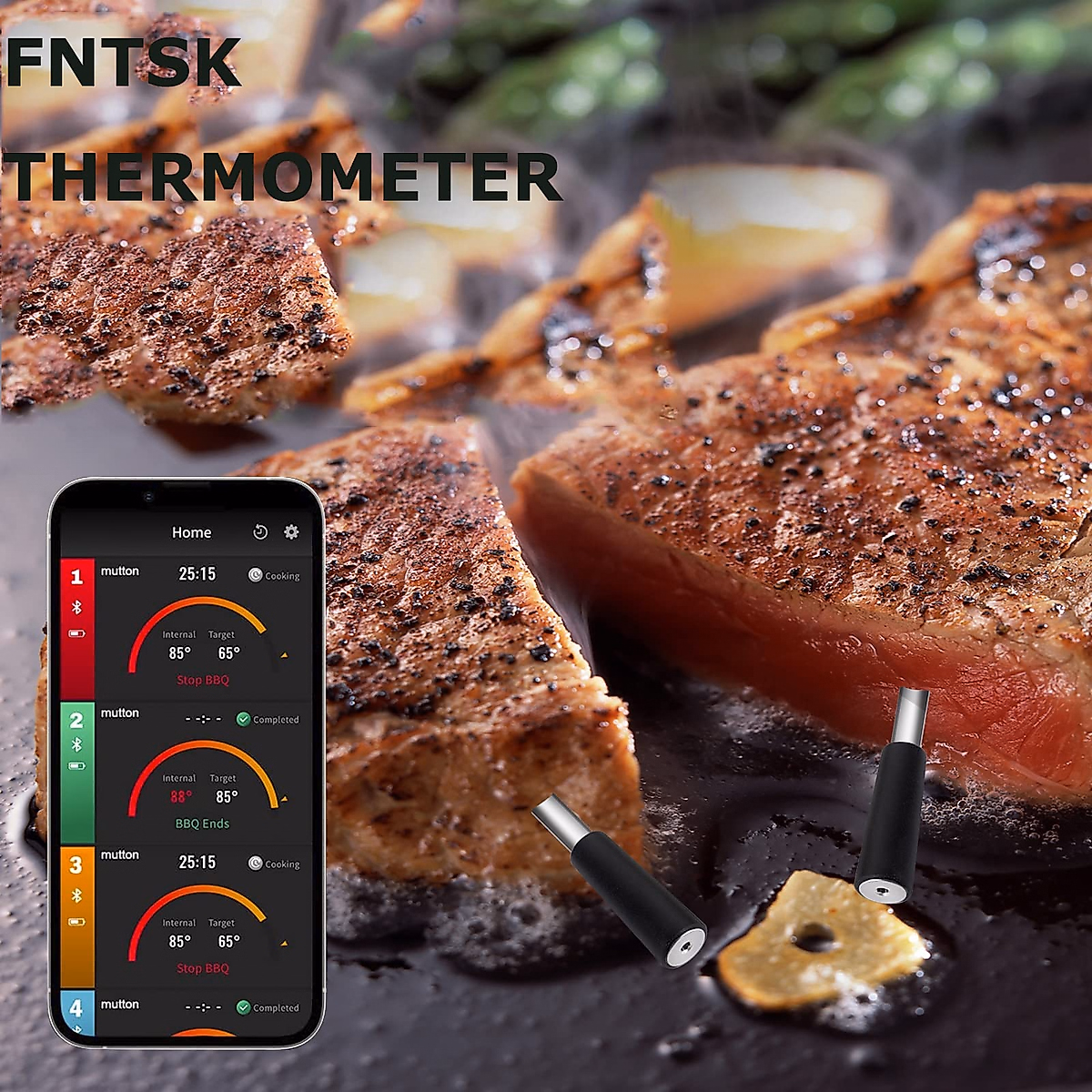 Fntsk Bluetooth Wireless Meat Thermometer, Smart Meat Thermometer 165ft Long Range for Oven, Kitchen, Grilling, Smokers, BBQ, Rotisserie (2 Probes)