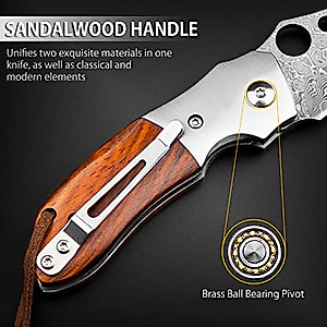 NedFoss Damascus Pocket Knife for men, Handmade Forged VG10 Damascus Steel Blade Pocket Knife with Wooden Handle, Pocket Clip, Liner Lock, Excellent Gifts for Men