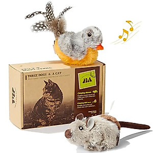 Cat Toys 2 PCS Interactive for Indoor Cats Automatic Squeaking Mouse and Feather Bird Melody Sound Chaser Set Lifelike Plush Electronic Kitty Toy (Grey)