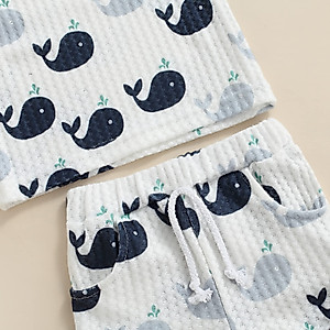 Kuriozud Baby Boy Summer Clothes Cute Print Sleeveless Tank Top Elastic Shorts Set 2 Piece Outfit (Dolphin, 12-18 Months)