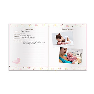 Lil Peach Birdie Baby Five Year Memory Book Photo Journal, Cherish Every Precious Moment of Your Babys First Years, Pink