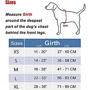 PoyPet No Pull Dog Harness, Reflective Comfortable Vest Harness with Front & Back 2 Leash Attachments and Easy Control Handle Adjustable Soft Padded Pet Vest for Small to Large Dogs (Mint Blue,M)