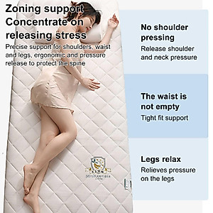 DSFSSJ Japanese Bed Floor Mattress Futon Mattress, Portable Roll Up Mattress Sleeping Pad Floor Bed for Guest Room,Tatami Mat Sleeping Pad, Back-Sided Has Breathable Mesh, White-King