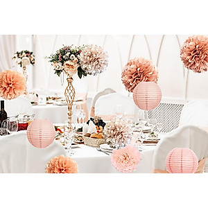 Hanging Party Decorations - Tissue Paper pom poms and Lanterns Backdrop Decor for Engagement Wedding Birthday Bridal Shower Bachelorette (Rose Gold)