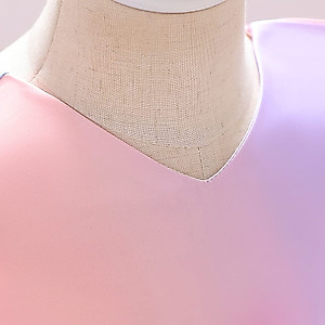 NSSMWTTC Baby Girls Easter Backless Dresses Bowknot Toddler Kid Color Gradient Ruffles Christmas Formal Dress Tutu Frocks (Pink,80)