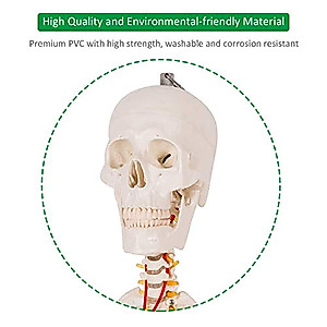 HAPPYGRILL 5.9FT Human Anatomical Anatomy Skeleton Life Size Full Body Skeleton with Rolling Stand for Teaching