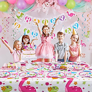 WERNNSAI Disposable Dinosaur Plates and Napkins - 48PCS Dino Party Supplies for Girls Luncheon Dinner Dessert Cake Plates Baby Shower Birthday Party Tableware Kit Serves 16 Guests