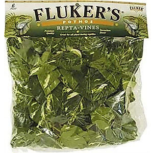 Fluker's Repta Vines-Pothos for Reptiles and Amphibians
