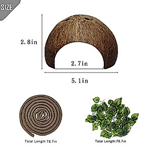 PINVNBY Bearded Dragon Tank Accessories,Reptiles Resin Human Skull Habitat Decor,Lizard Hammock Coconut Shell Hut Hideouts Cave Jungle Climber Vines Leaves Decorations for Chameleon Snake Spider Gecko